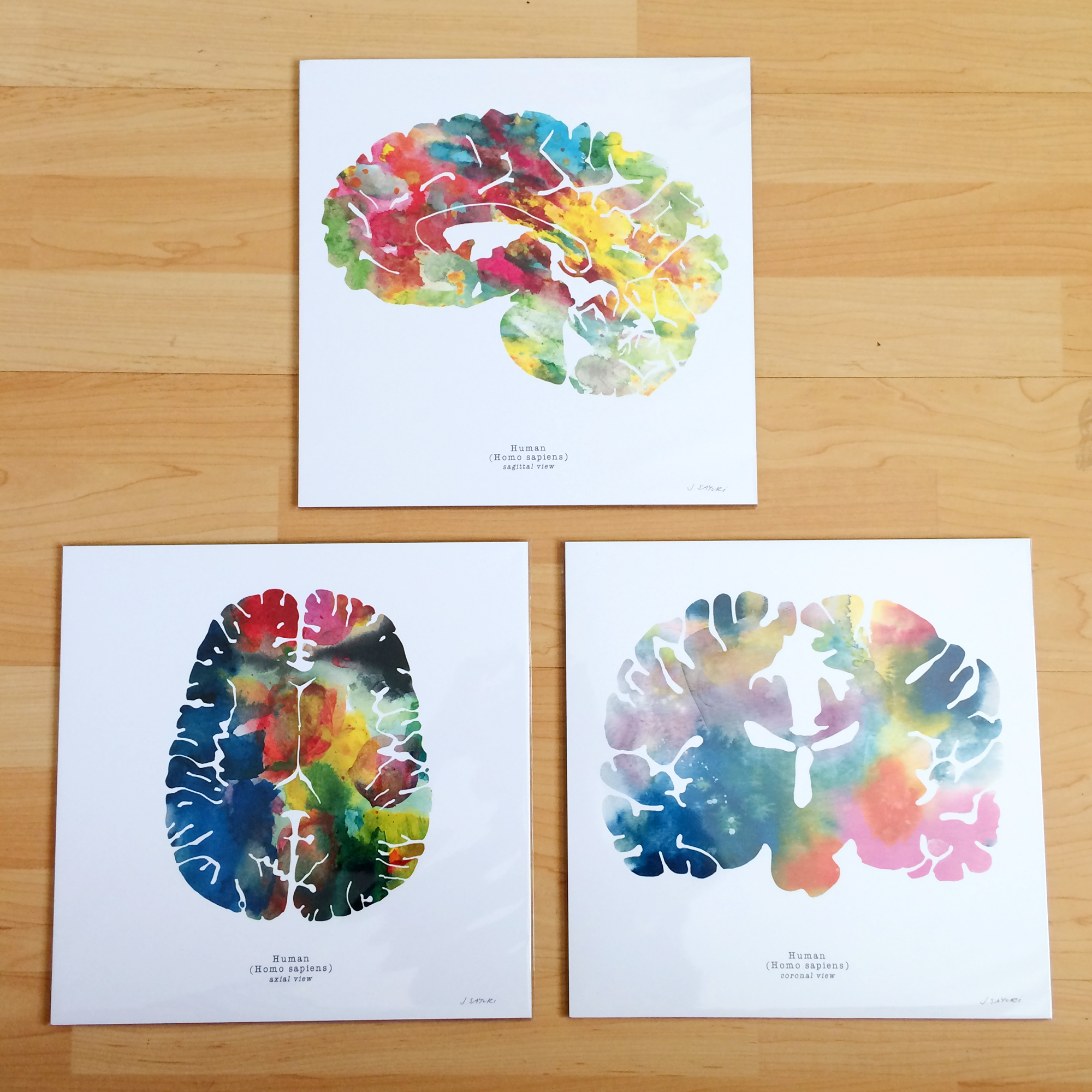 San Francisco Zine Fest 2017 - J Sayuri Brain Art, ASMR Videos, and ...